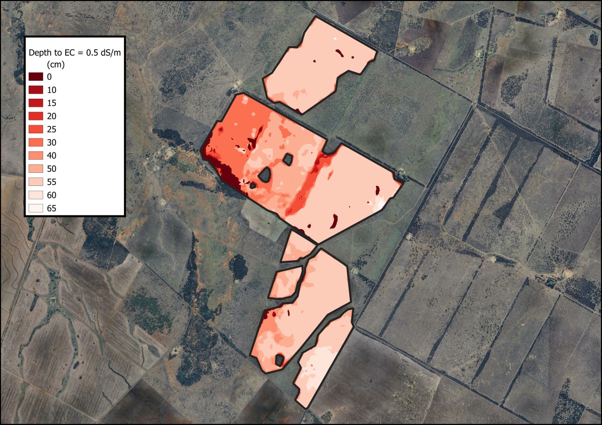 Strategic Soil Assessment Prevents Costly Mistakes in the Western Downs ...